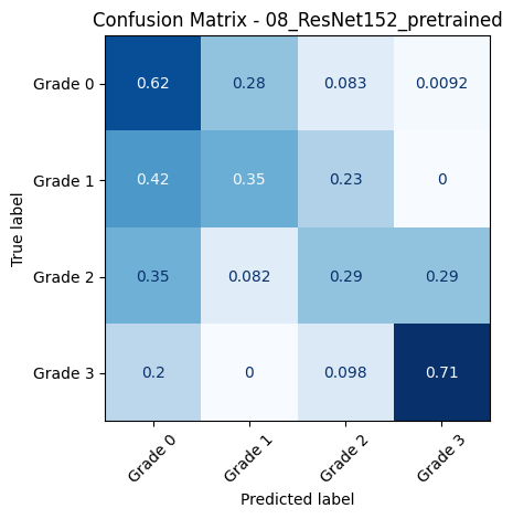 Retina classification using Convolutional Neural Networks — RISE_Tutorials